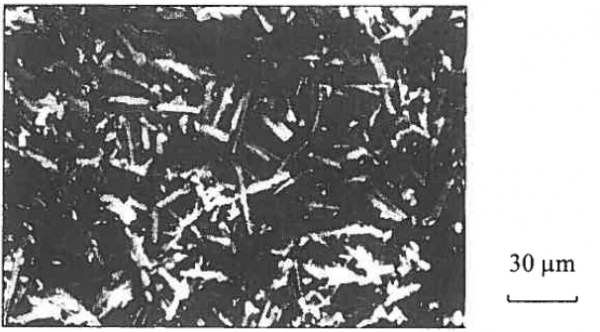 LFCM表面に生成したU系二次鉱物の分析結果（経年変化） - debrisWiki